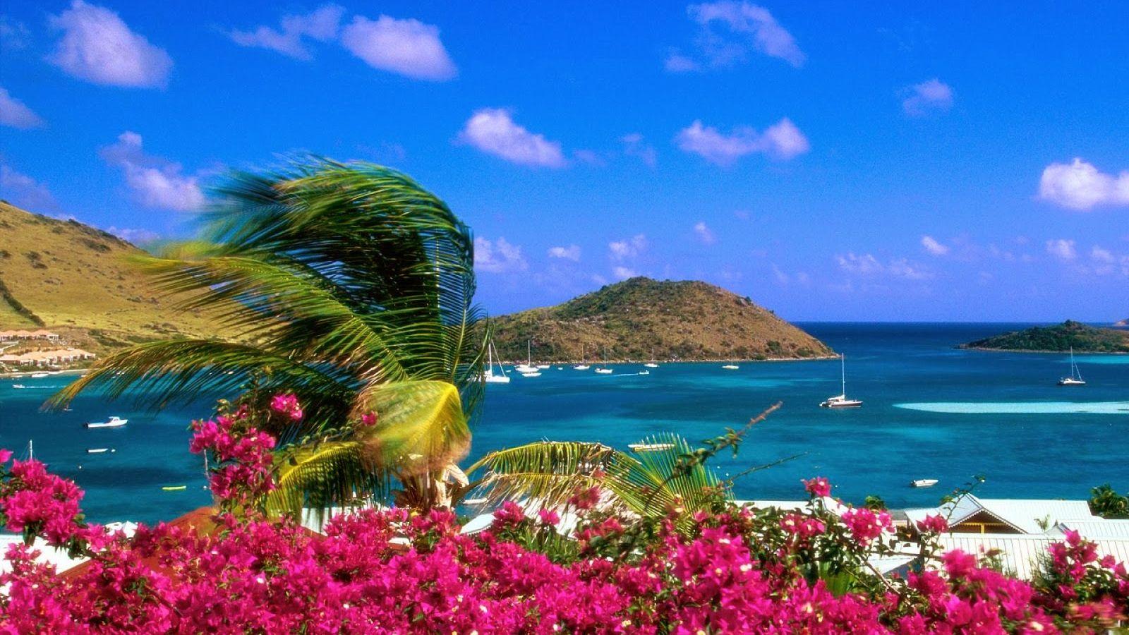 Australia Beaches Wallpapers - Top Free Australia Beaches Backgrounds ...