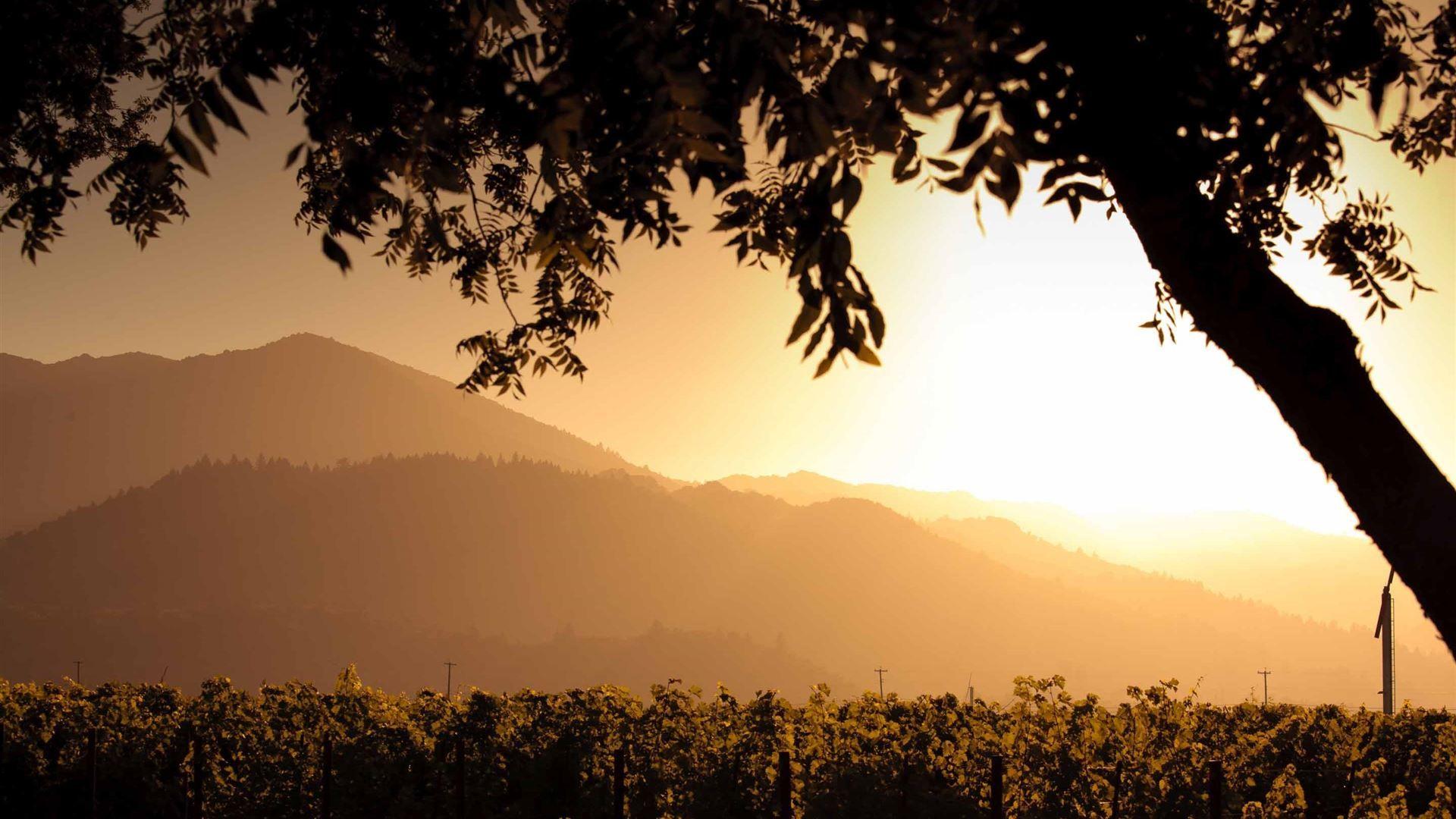 Golden Sunset Wallpapers - Top Free Golden Sunset Backgrounds ...