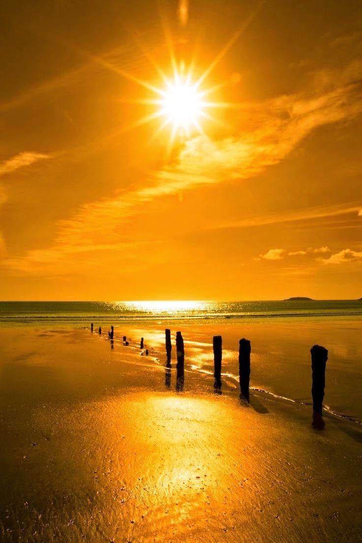Golden Sunset Wallpapers - Top Free Golden Sunset Backgrounds ...