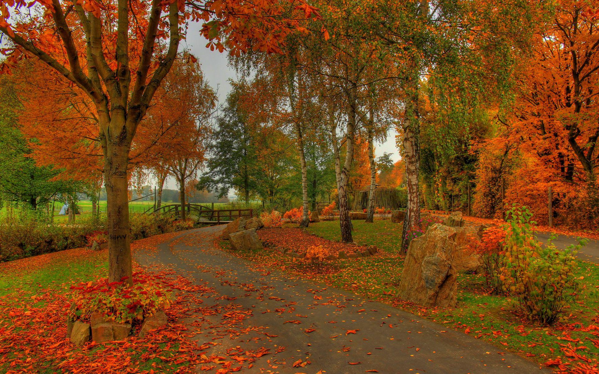 Autumn Colors Wallpapers - Top Free Autumn Colors Backgrounds ...