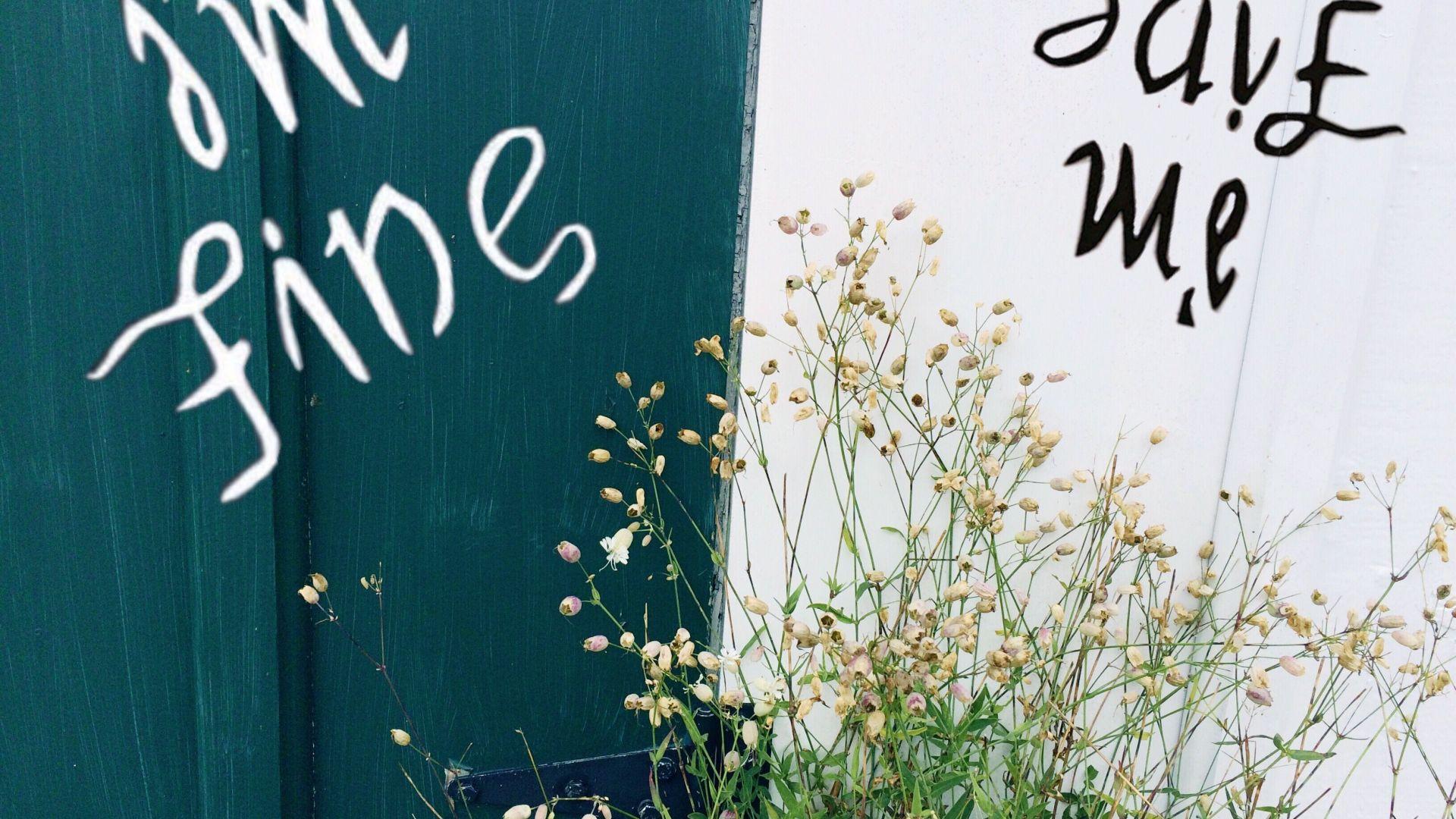 Save Me Wallpapers - Top Free Save Me Backgrounds - WallpaperAccess