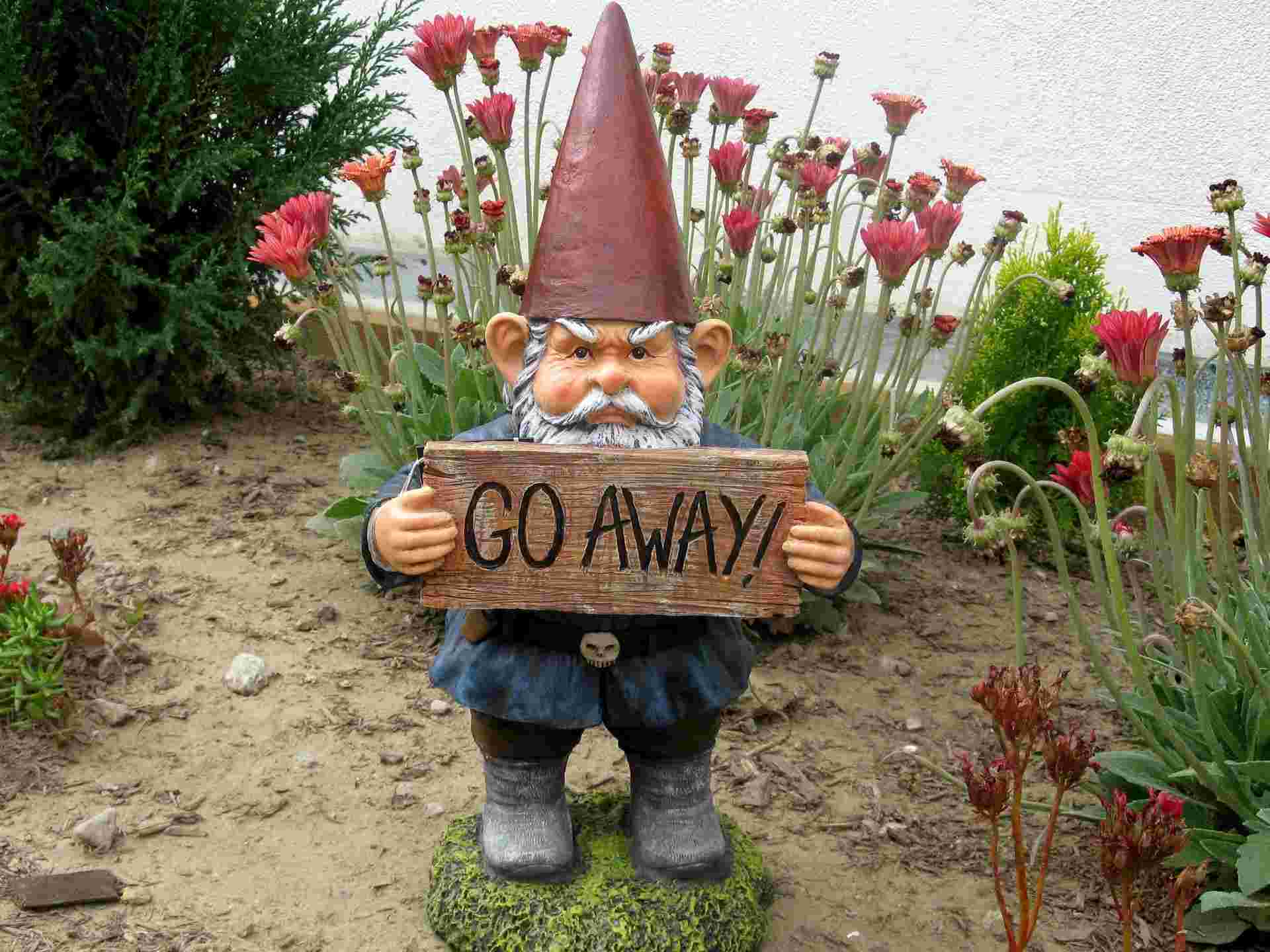 Garden Gnome Wallpapers - Top Free Garden Gnome Backgrounds - WallpaperAccess