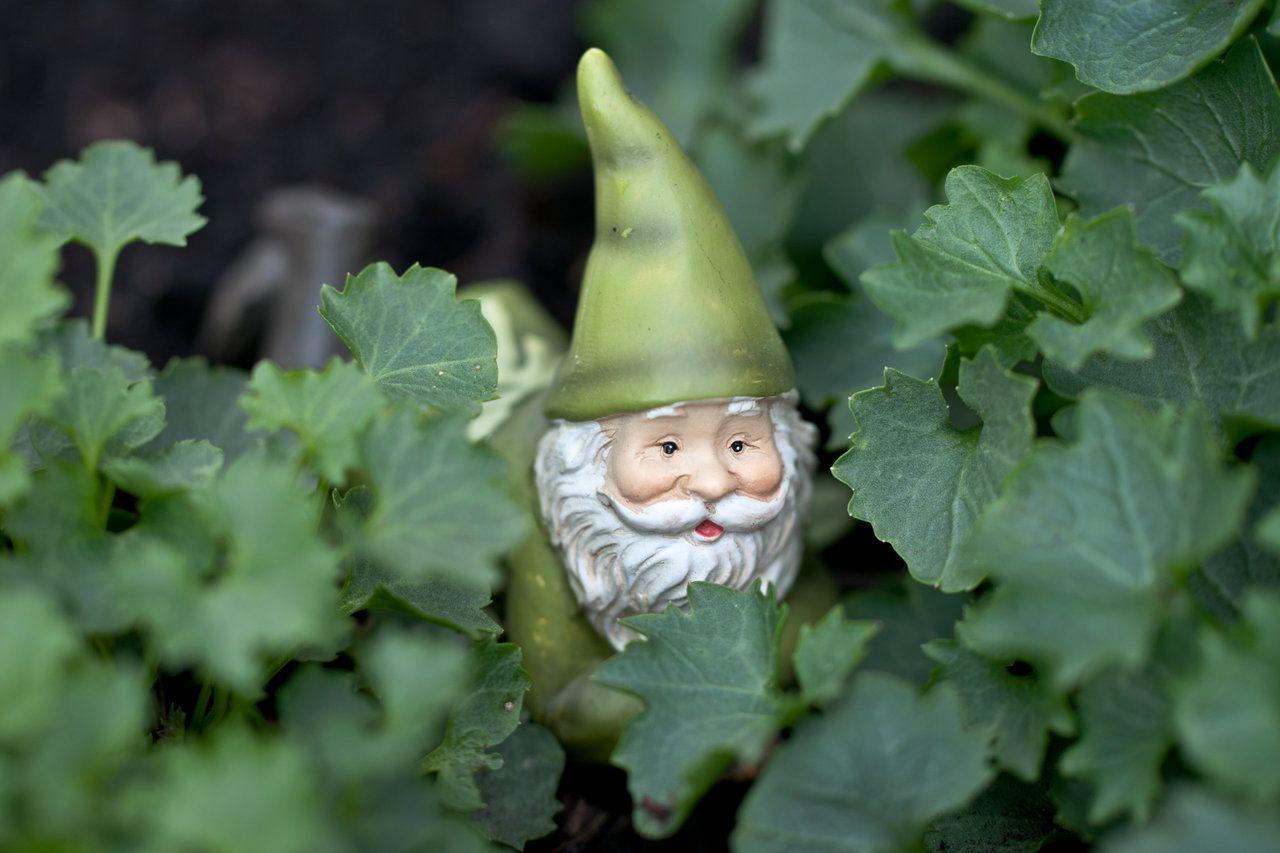 Garden Gnome Wallpapers - Top Free Garden Gnome Backgrounds - WallpaperAccess