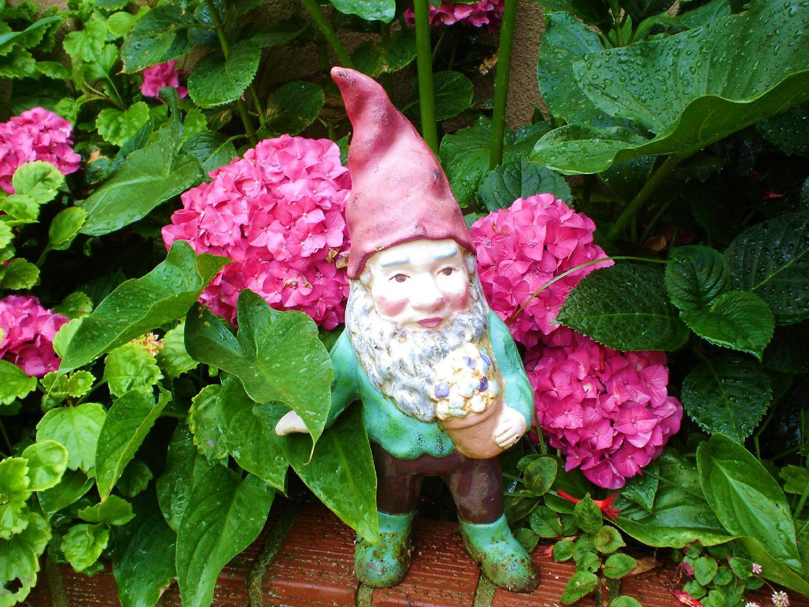 Garden Gnome Wallpapers - Top Free Garden Gnome Backgrounds - WallpaperAccess