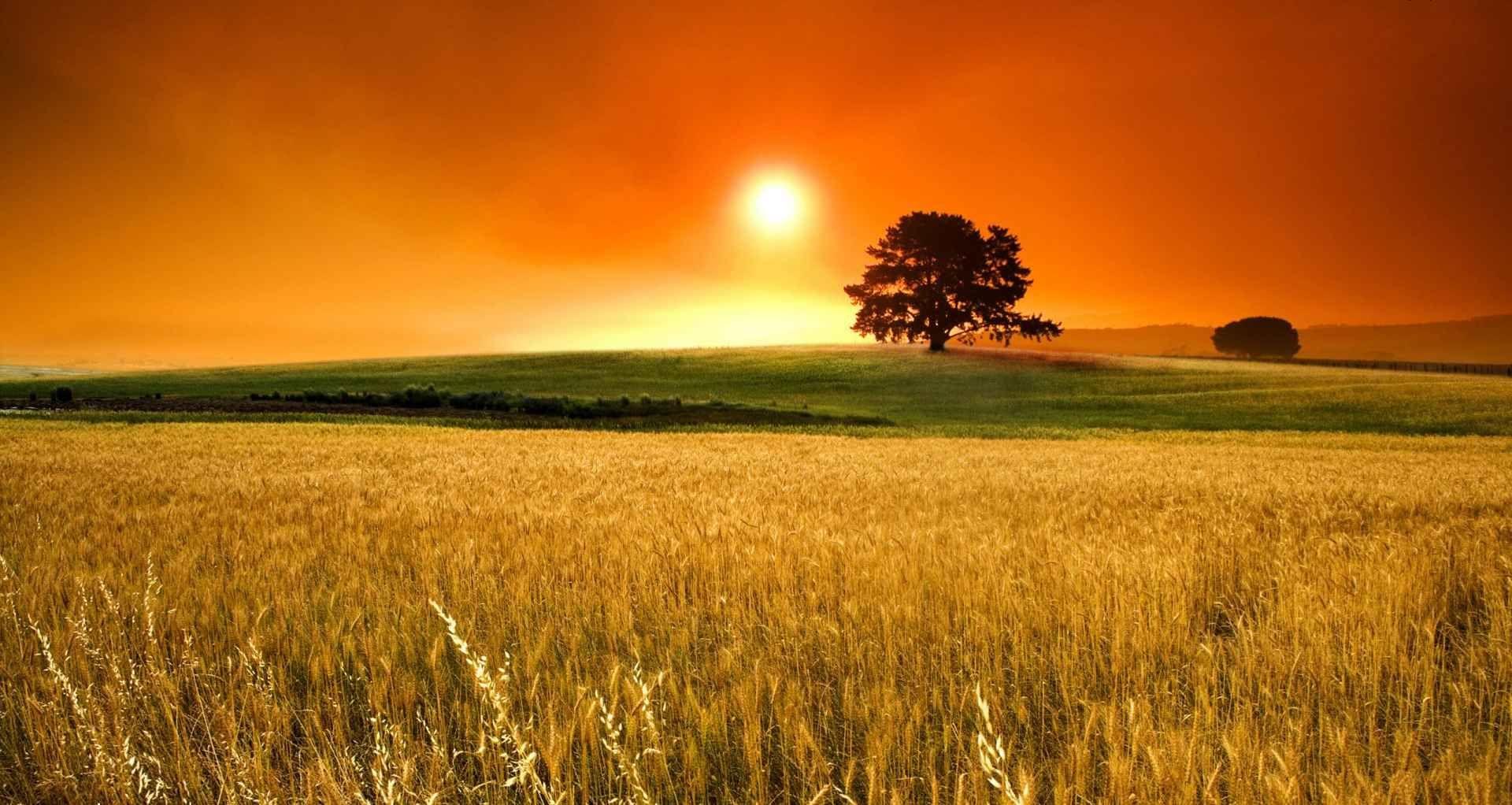Farm Landscape Wallpapers - Top Free Farm Landscape Backgrounds ...
