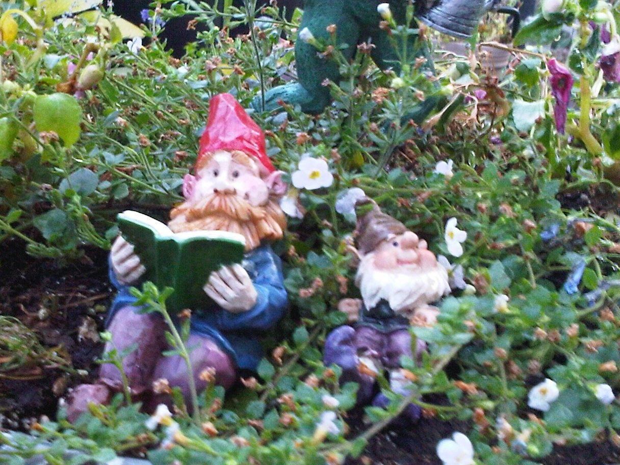 Garden Gnome Wallpapers - Top Free Garden Gnome Backgrounds ...