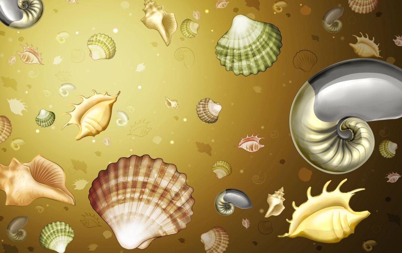 Cute Seashell Wallpapers - Top Free Cute Seashell Backgrounds ...