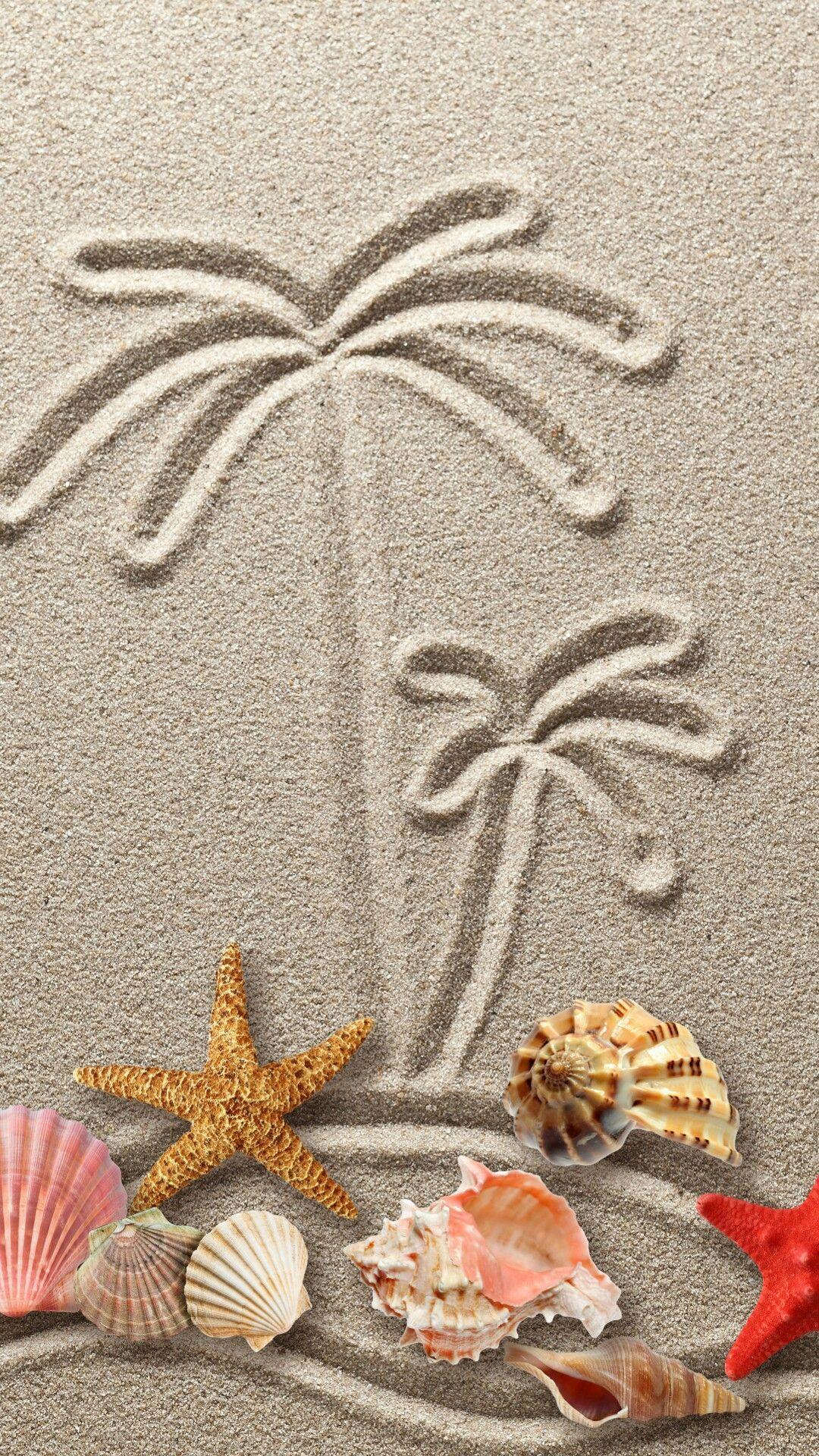 Cute Seashell Wallpapers - Top Free Cute Seashell Backgrounds ...