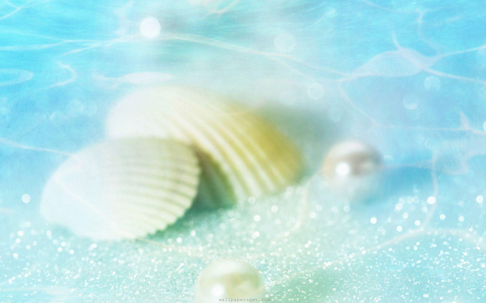 Cute Seashell Wallpapers - Top Free Cute Seashell Backgrounds ...