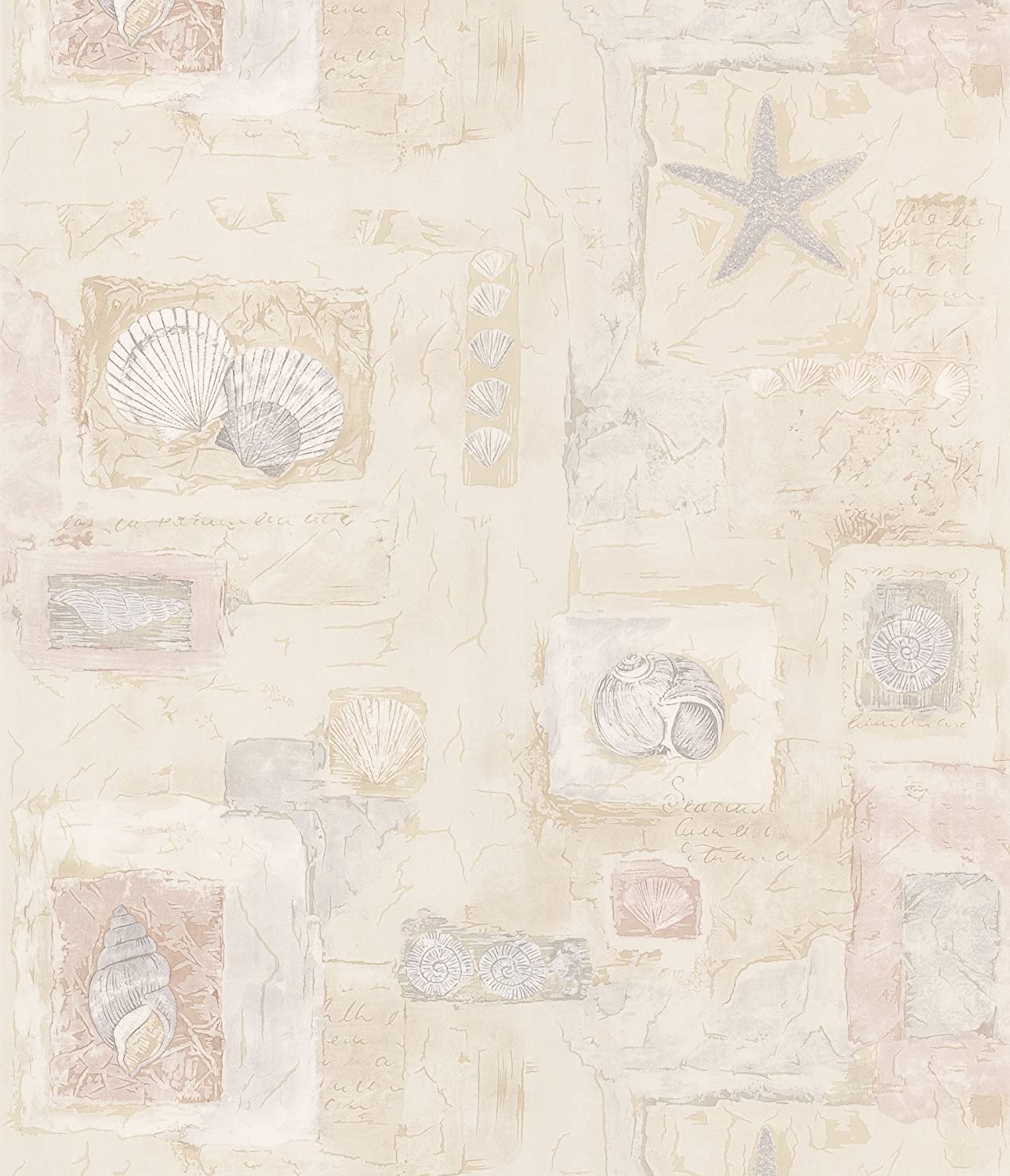 Pink Seashell Wallpapers - Top Free Pink Seashell Backgrounds ...