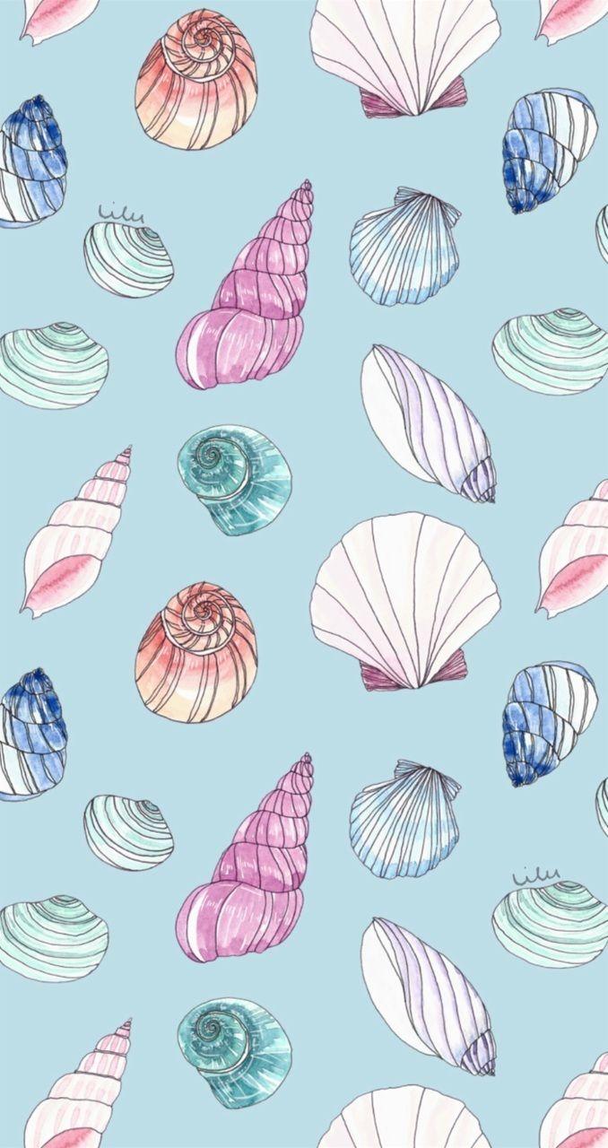 Cute Seashell Wallpapers - Top Free Cute Seashell Backgrounds ...