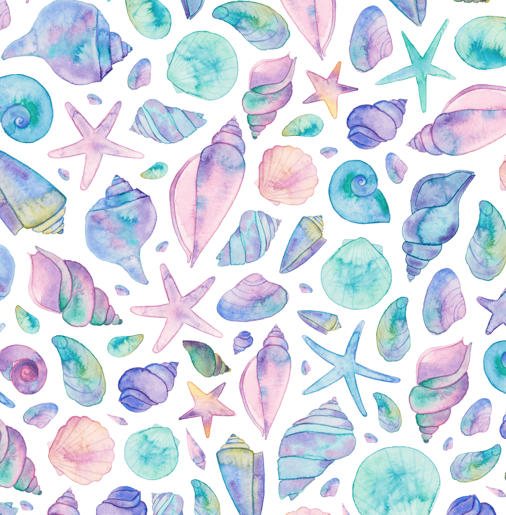 Cute Seashell Wallpapers - Top Free Cute Seashell Backgrounds ...