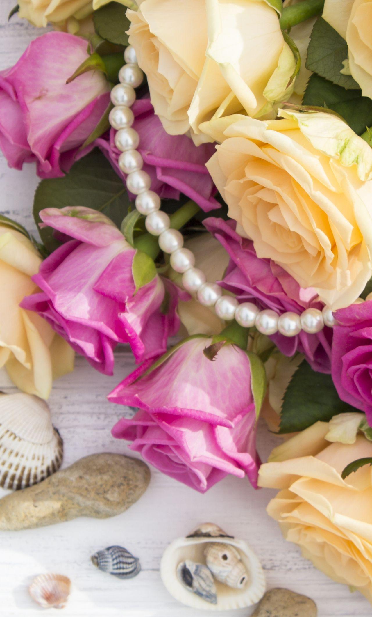 Pink Seashell Wallpapers - Top Free Pink Seashell Backgrounds ...