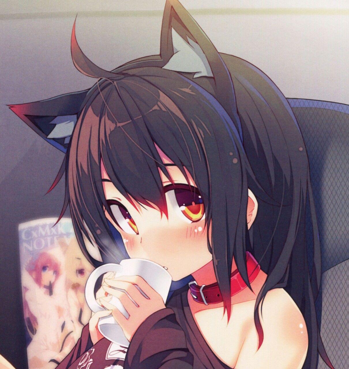 Neko Girl Wallpapers Top Free Neko Girl Backgrounds Wallpaperaccess