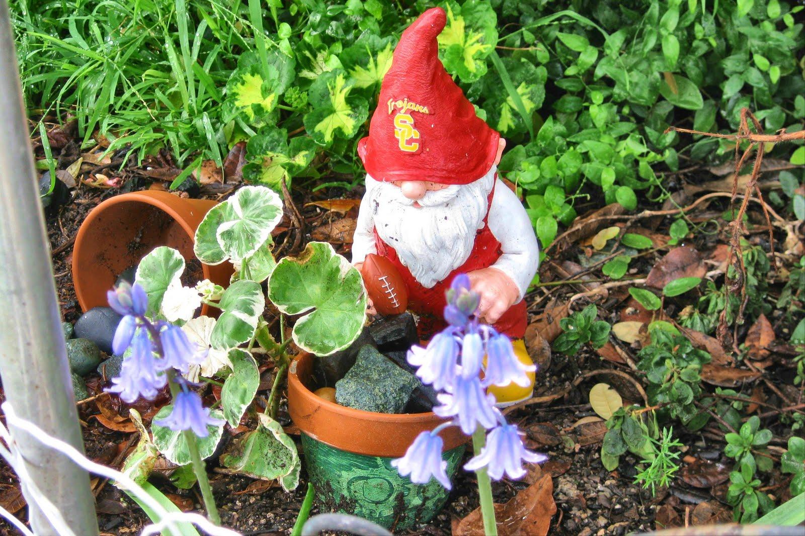 Garden Gnome Wallpapers - Top Free Garden Gnome Backgrounds - WallpaperAccess