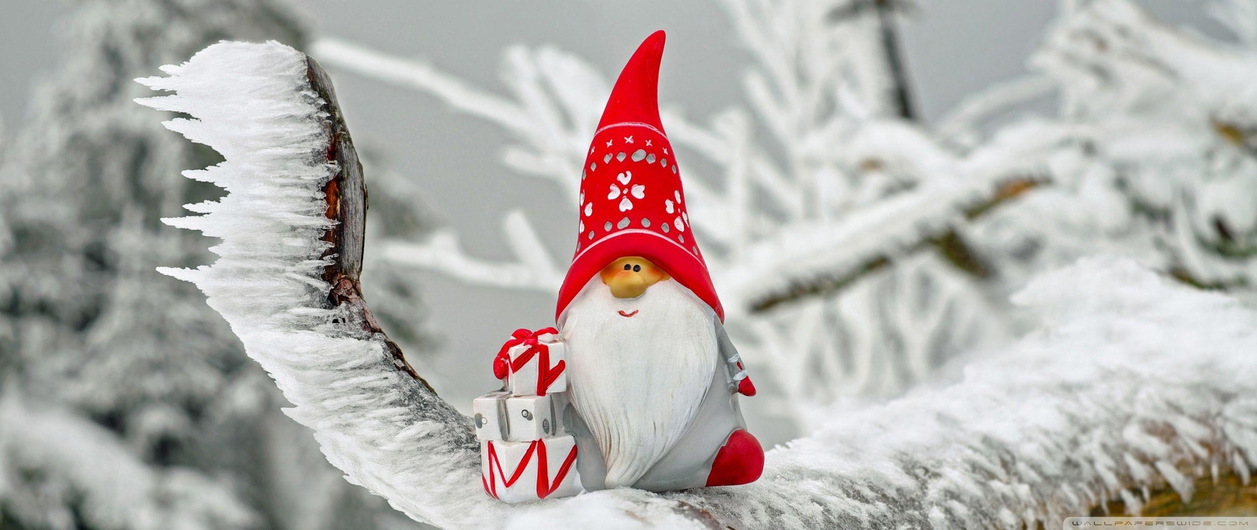 Garden Gnome Wallpapers - Top Free Garden Gnome Backgrounds ...