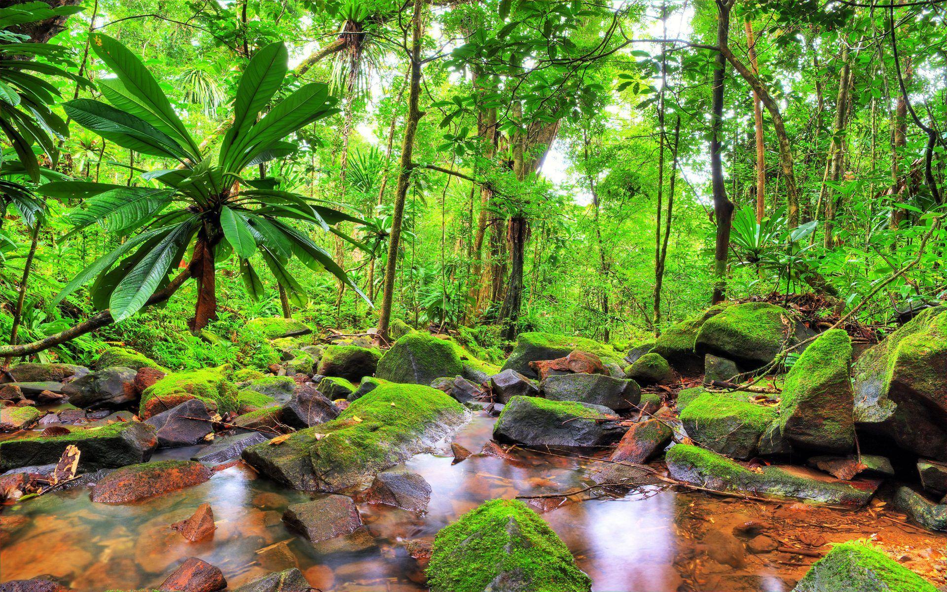 Tropical Landscape Wallpapers - Top Free Tropical Landscape Backgrounds ...