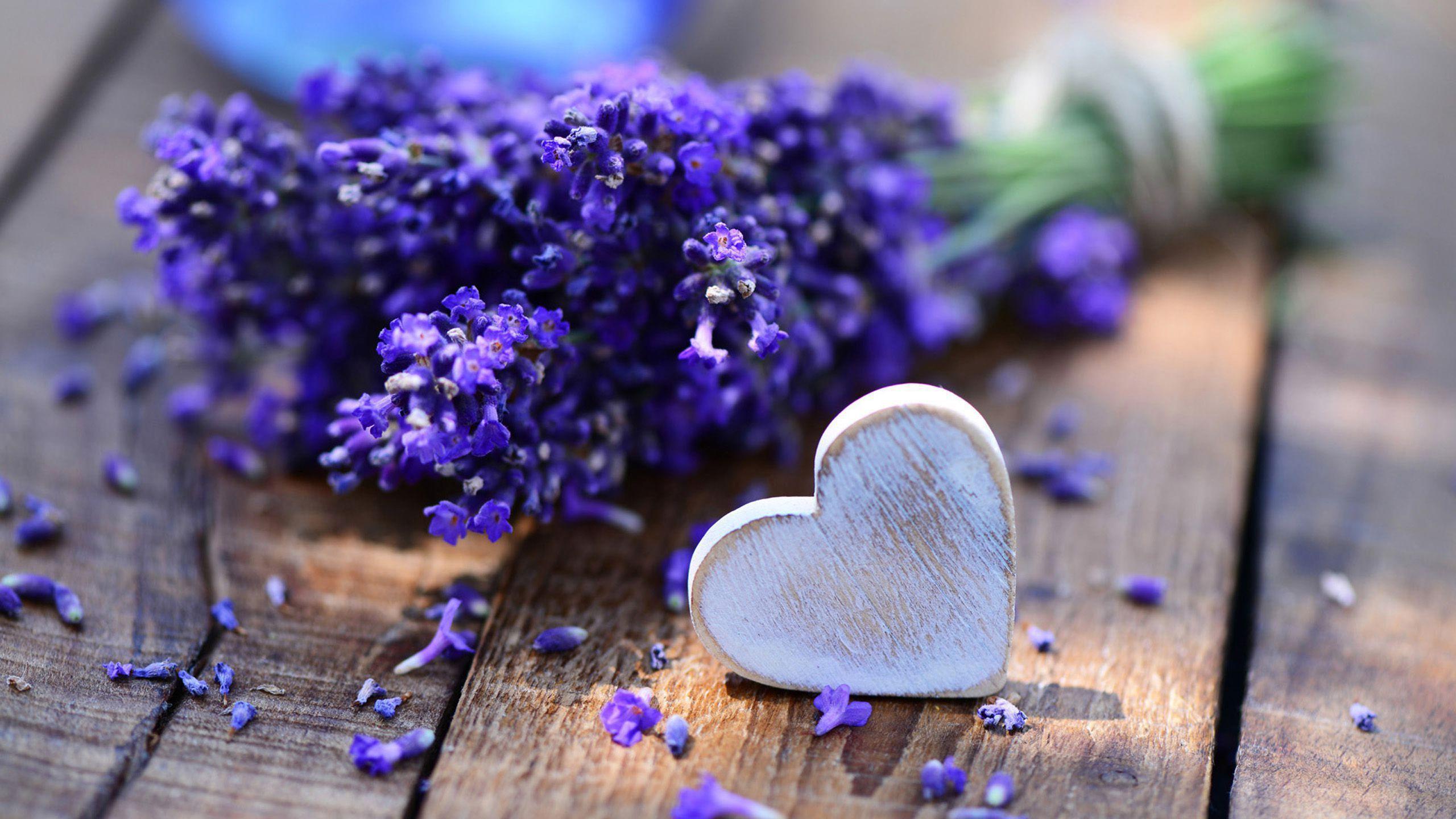 Lavender Computer Wallpapers - Top Free Lavender Computer Backgrounds ...
