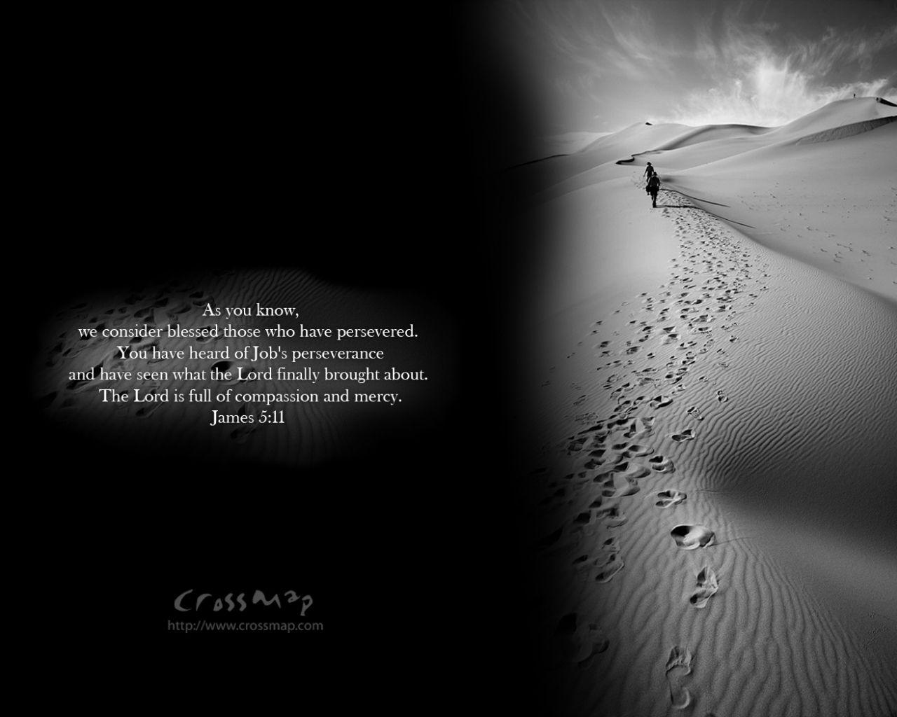 Compassion Wallpapers - Top Free Compassion Backgrounds - WallpaperAccess