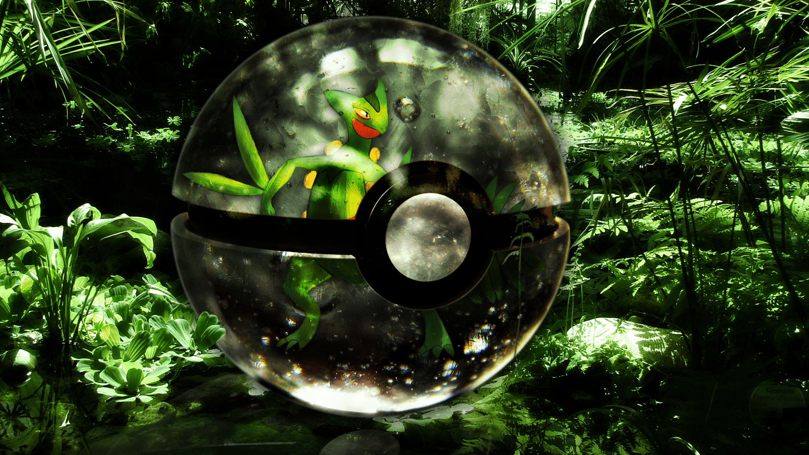 Pokemon Inside Pokeball Wallpapers - Top Free Pokemon Inside Pokeball ...