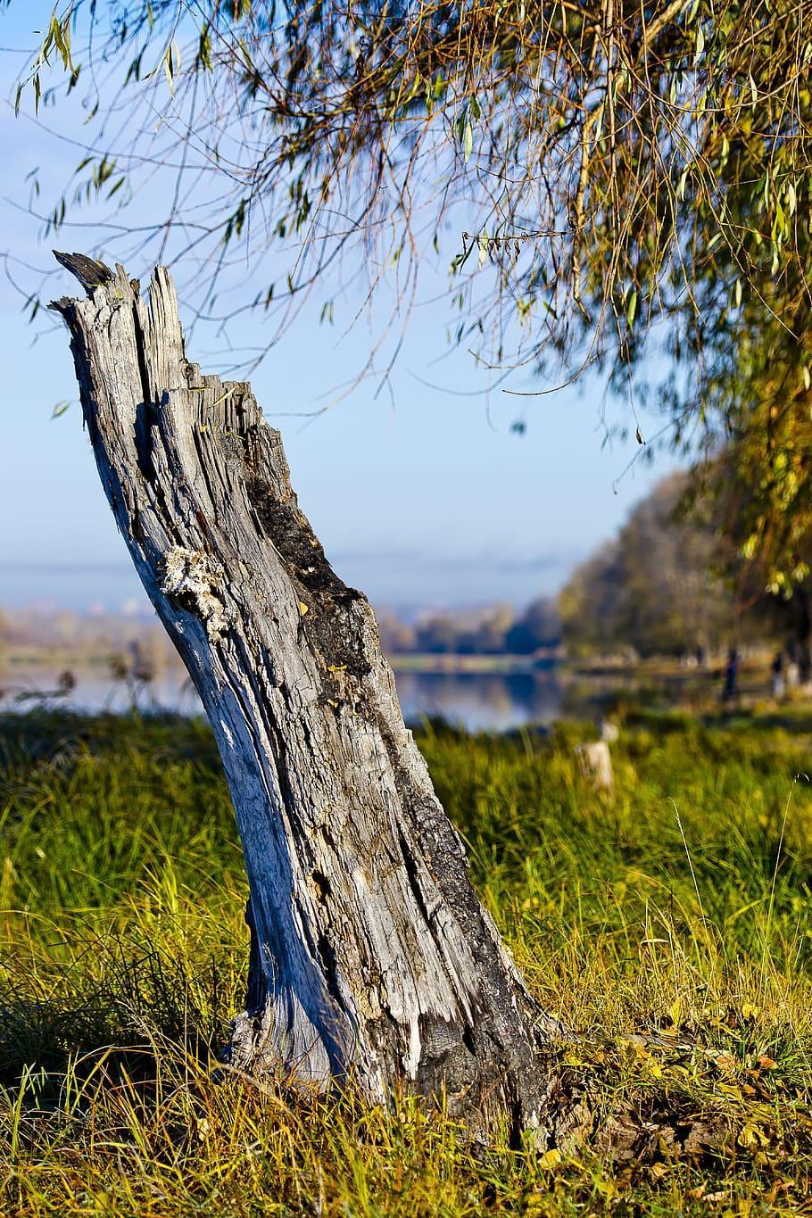 Old Nature Wallpapers - Top Free Old Nature Backgrounds - WallpaperAccess