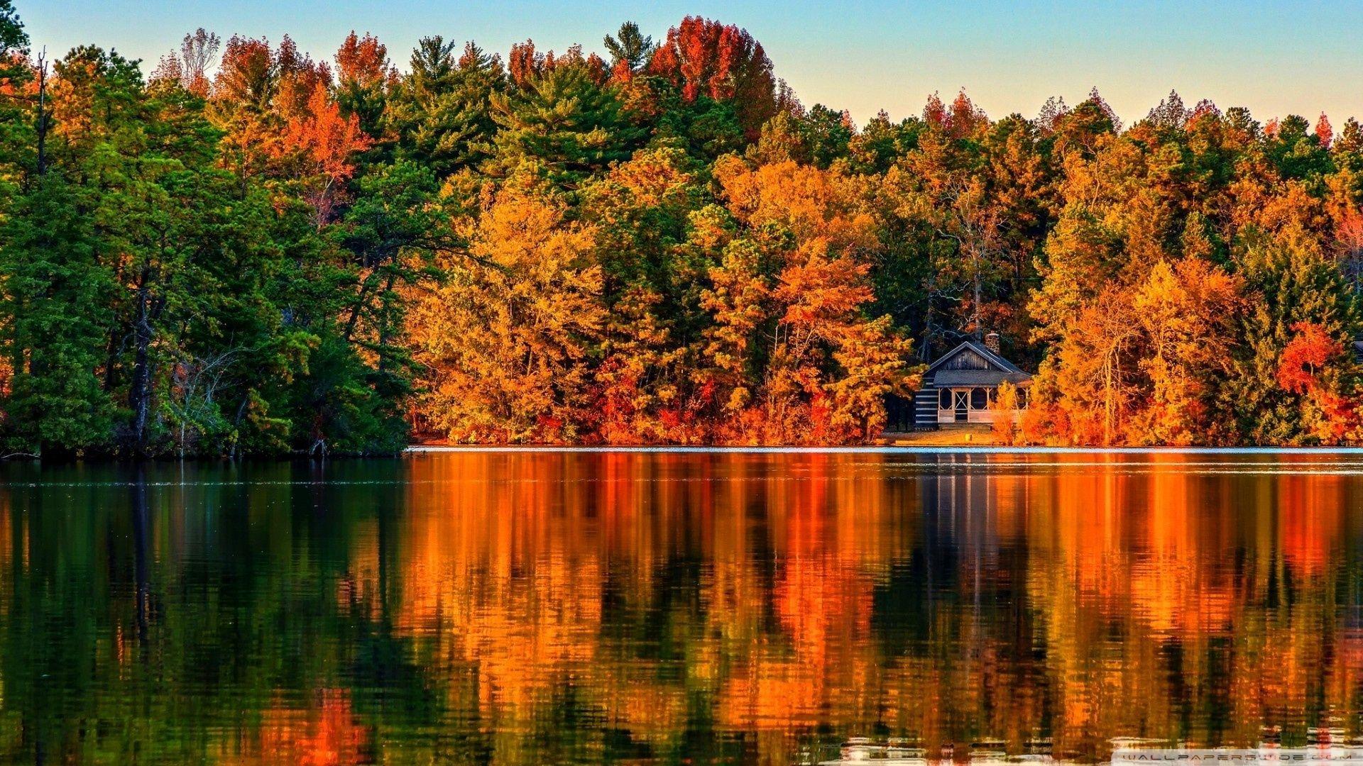 Fall Autumn Forest Wallpapers - Top Free Fall Autumn Forest Backgrounds ...