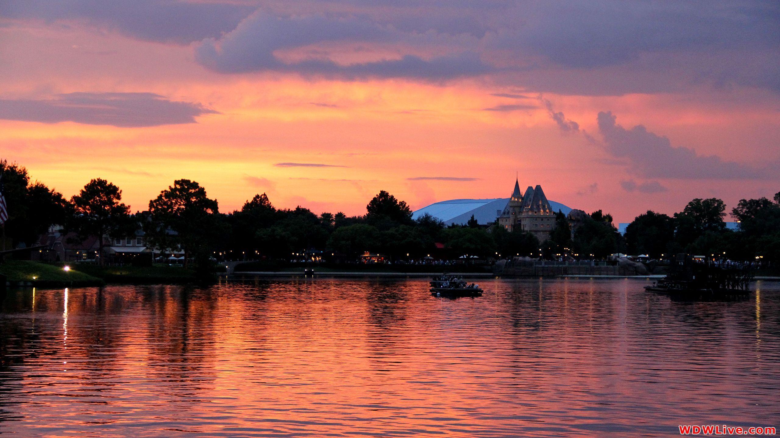 Showcase Wallpapers - Top Free Showcase Backgrounds - WallpaperAccess