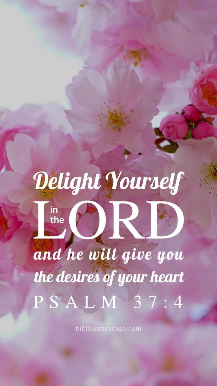 Pink Christian Wallpapers - Top Free Pink Christian Backgrounds ...