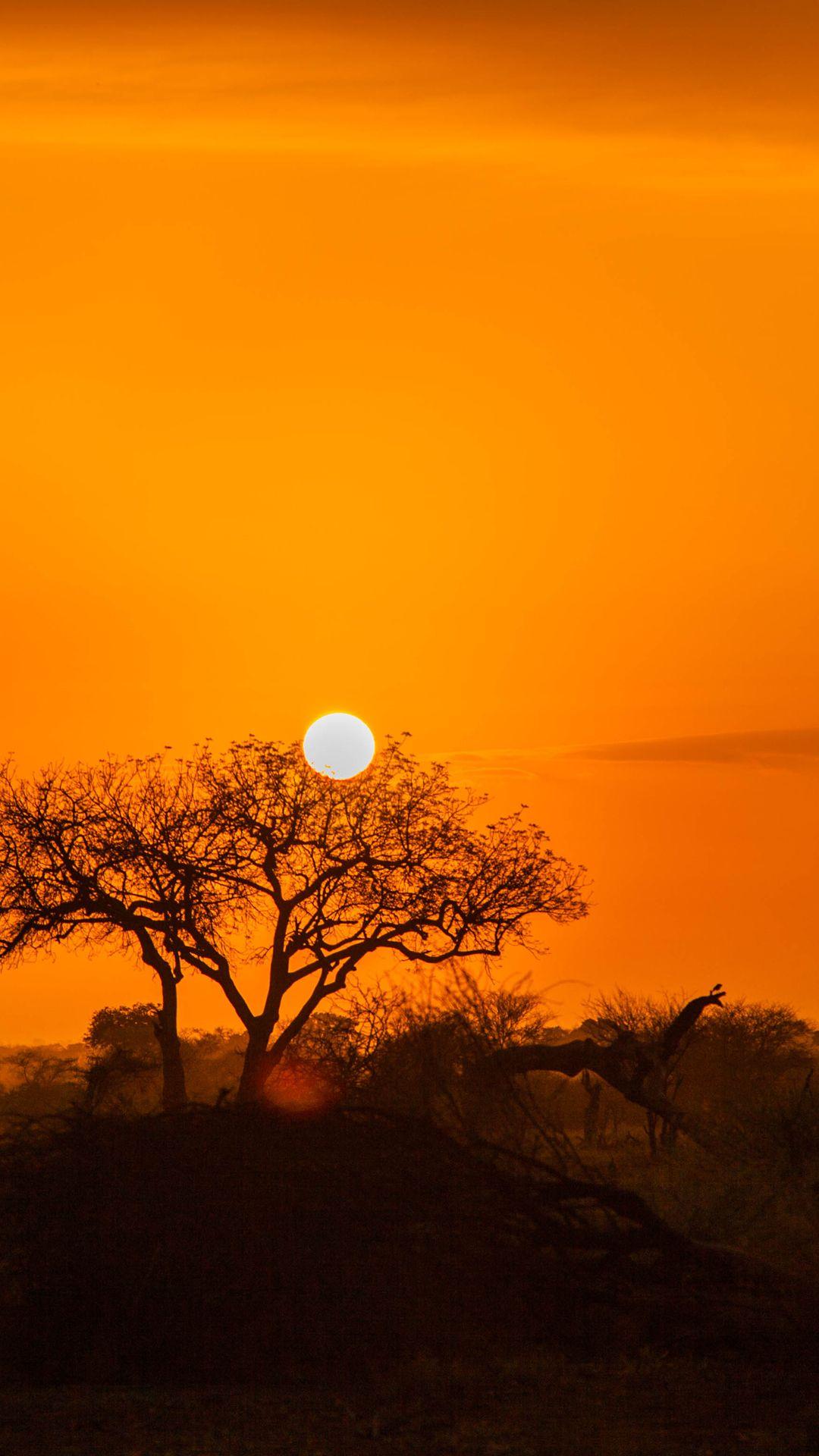 Morning Sunrise iPhone Wallpapers - Top Free Morning Sunrise iPhone ...