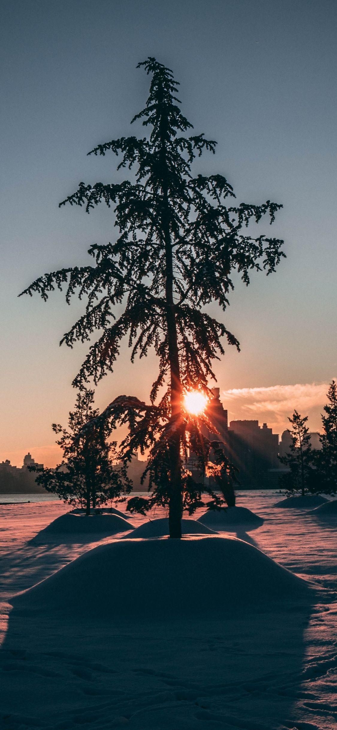 Morning Sunrise iPhone Wallpapers - Top Free Morning Sunrise iPhone ...