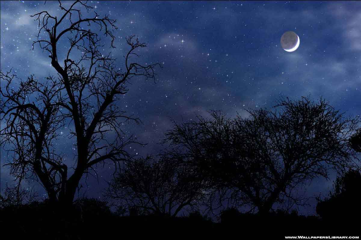 1200 X 800 HD Wallpapers - Top Free 1200 X 800 HD Backgrounds ...