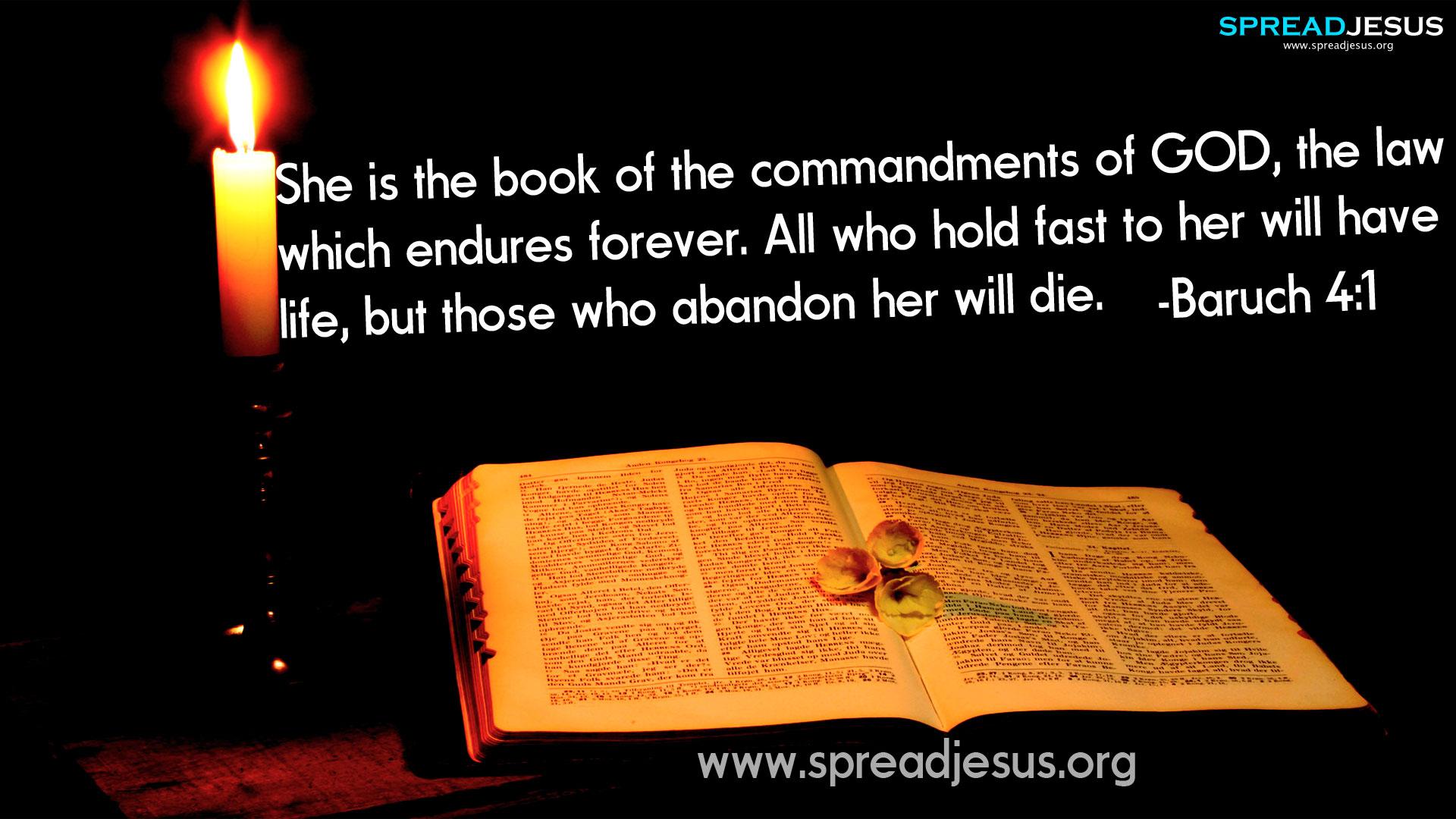 Bible Book Wallpapers - Top Free Bible Book Backgrounds - WallpaperAccess