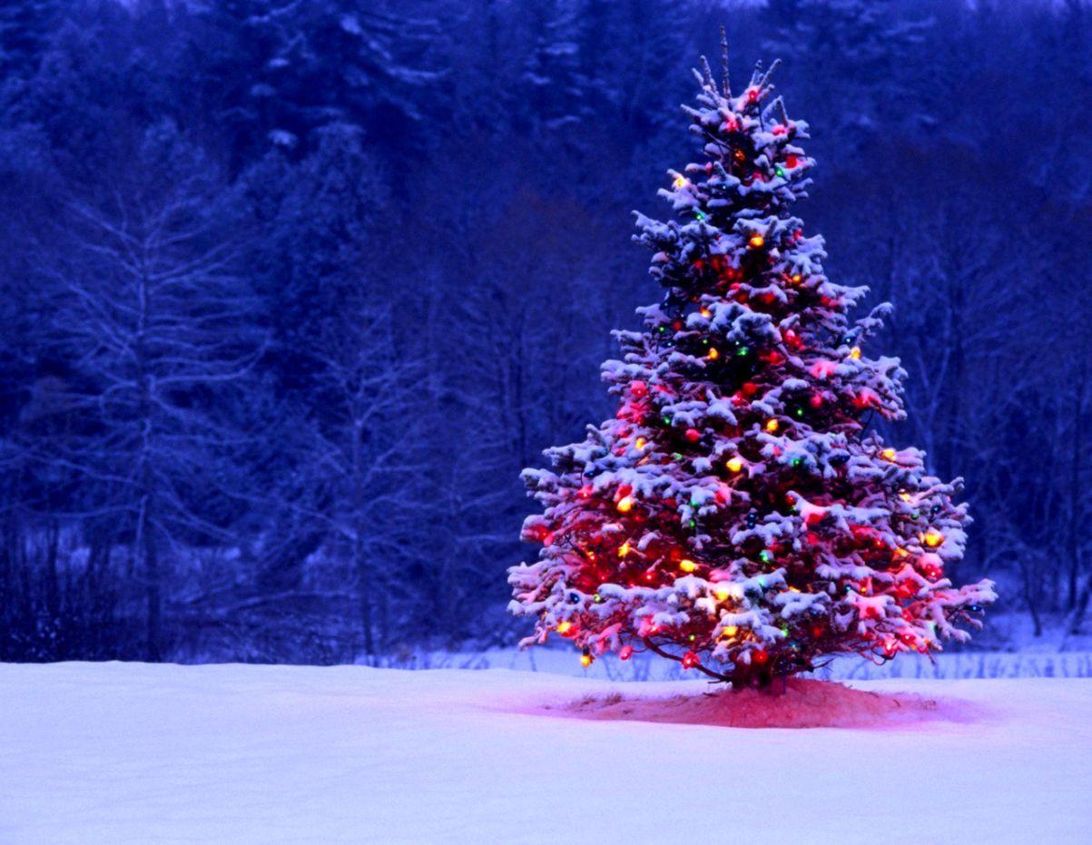 Christmas Winter Scenes Wallpapers - Top Free Christmas Winter Scenes ...