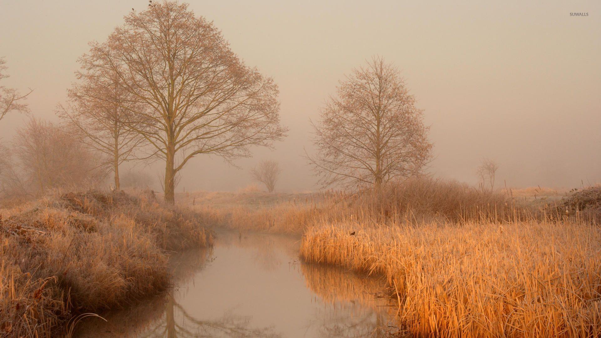 Winter Fog Wallpapers - Top Free Winter Fog Backgrounds - WallpaperAccess