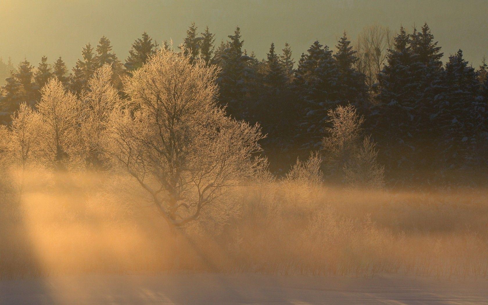 Winter Fog Wallpapers - Top Free Winter Fog Backgrounds - WallpaperAccess