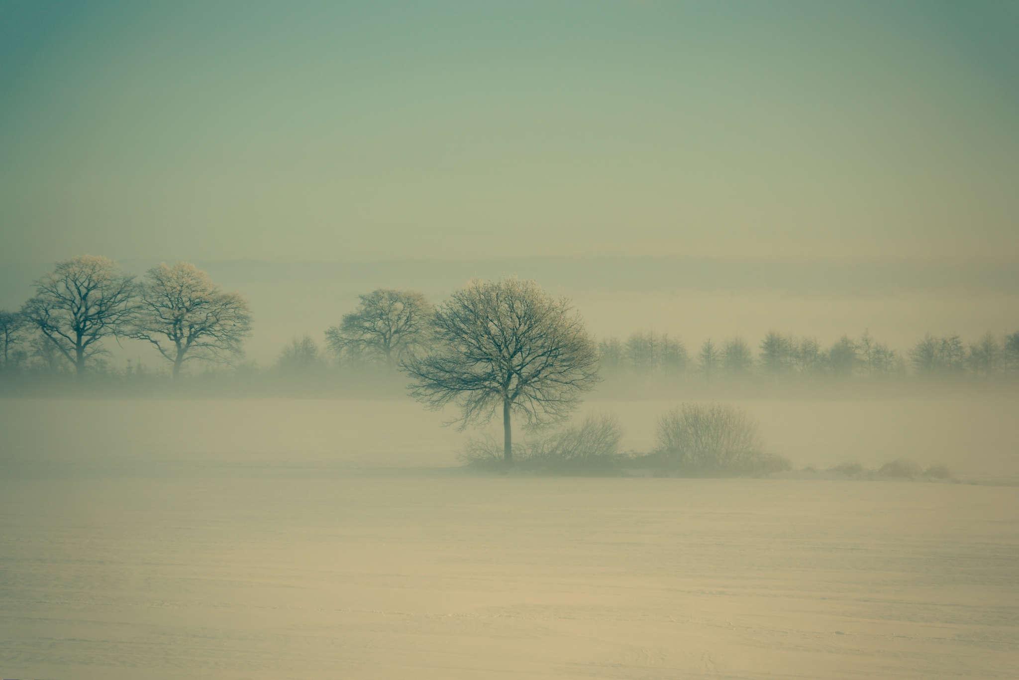 Winter Fog Wallpapers - Top Free Winter Fog Backgrounds - WallpaperAccess