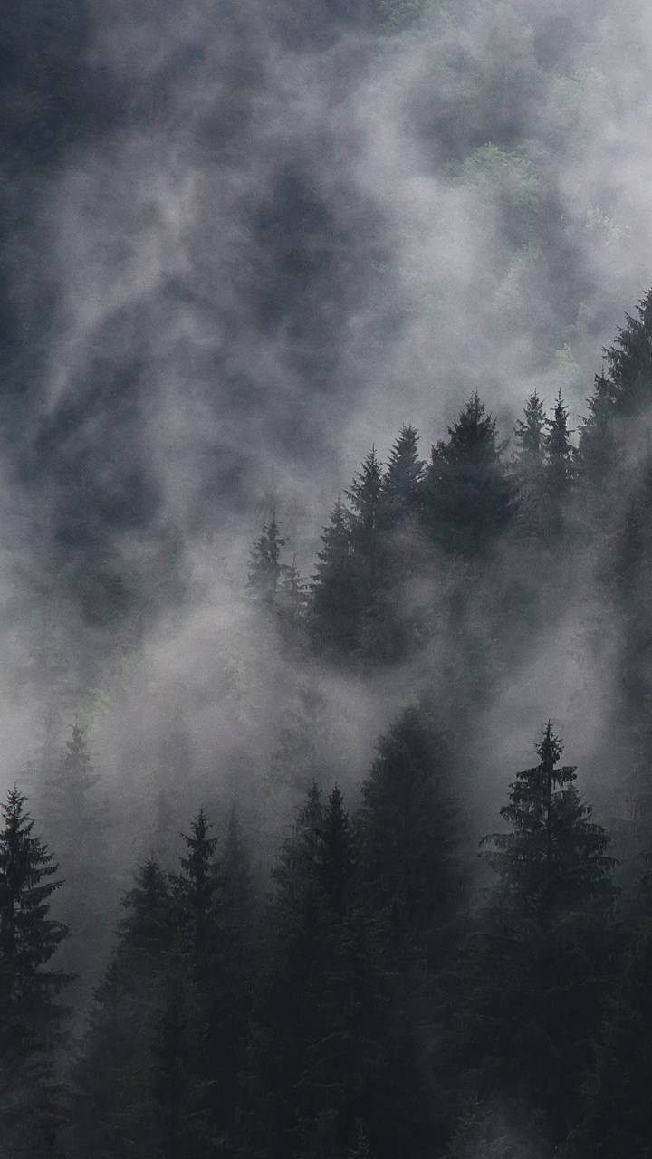 Dark Fog Wallpapers - Top Free Dark Fog Backgrounds - WallpaperAccess