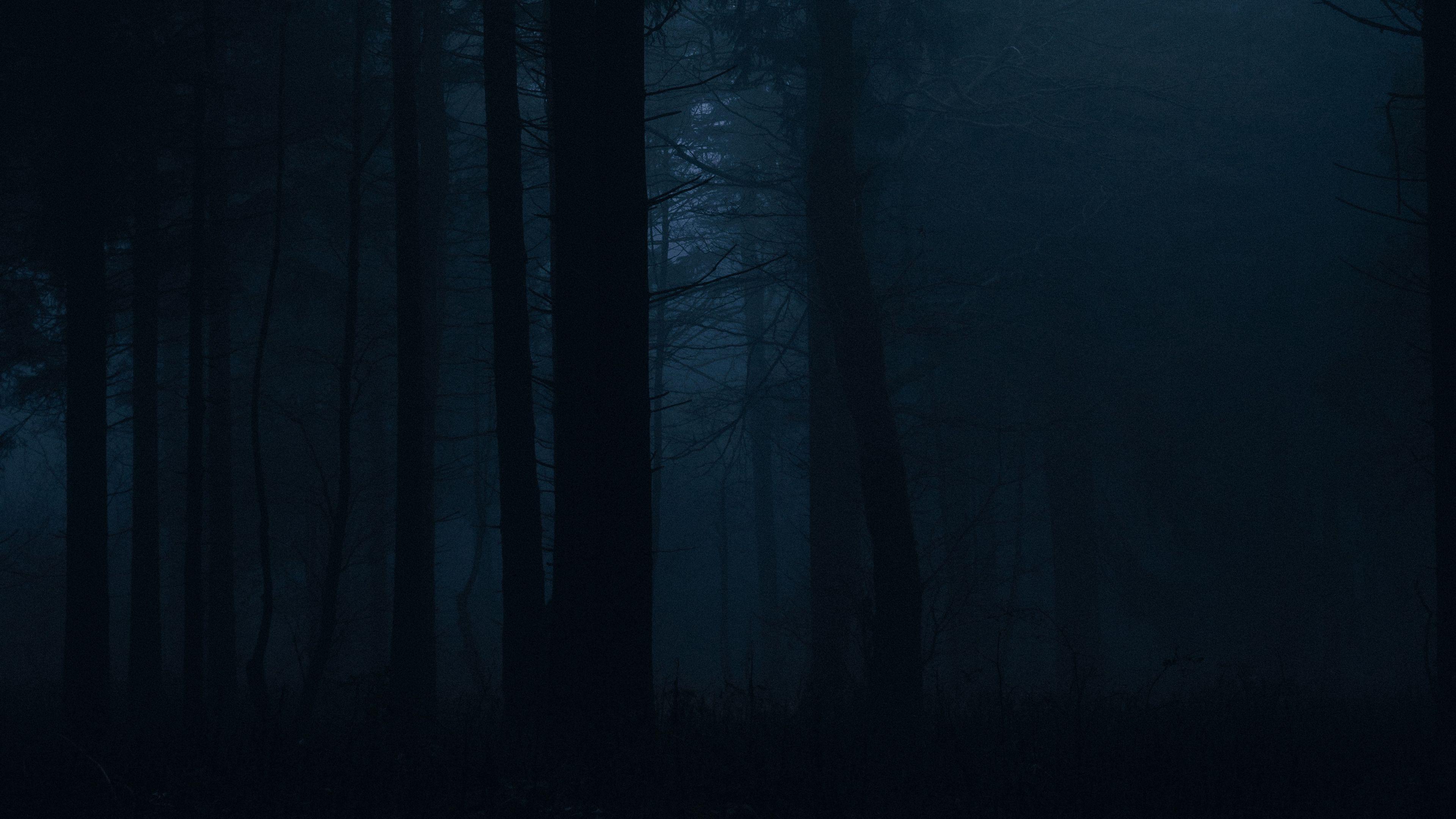 Dark Fog Wallpapers - Top Free Dark Fog Backgrounds - WallpaperAccess
