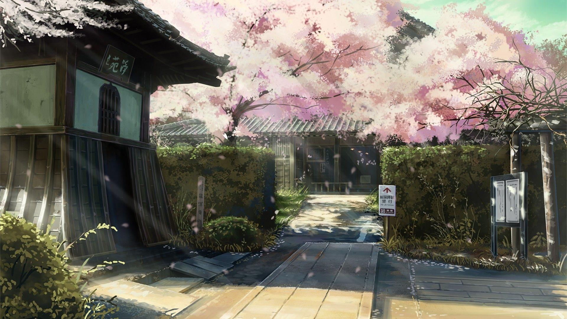 Japanese Sakura Anime Wallpapers - Top Free Japanese Sakura Anime ...