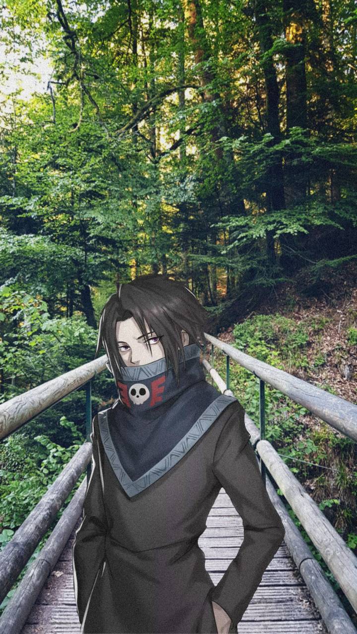 Feitan Portor Wallpapers - Top Free Feitan Portor Backgrounds ...