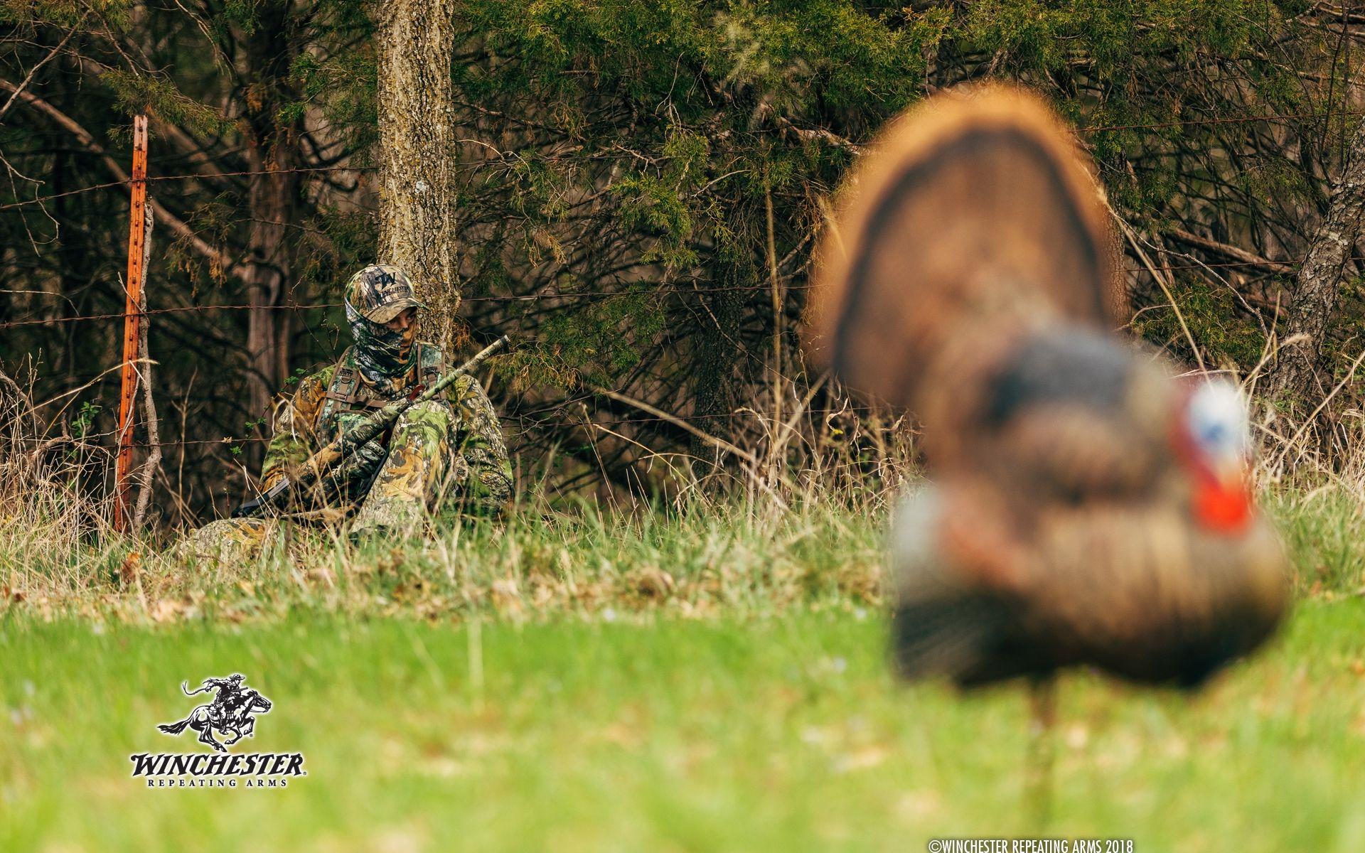 JPEG Wallpapers - Top Free JPEG Backgrounds - WallpaperAccess