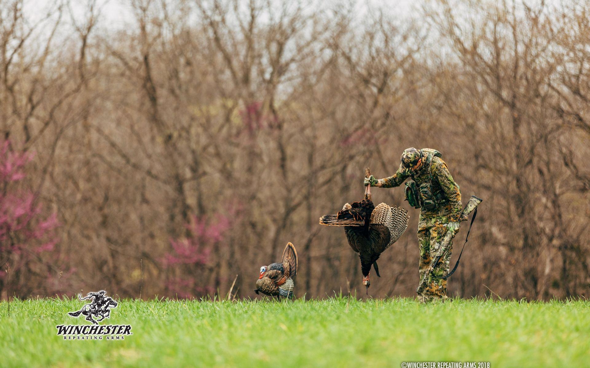 JPEG Wallpapers - Top Free JPEG Backgrounds - WallpaperAccess