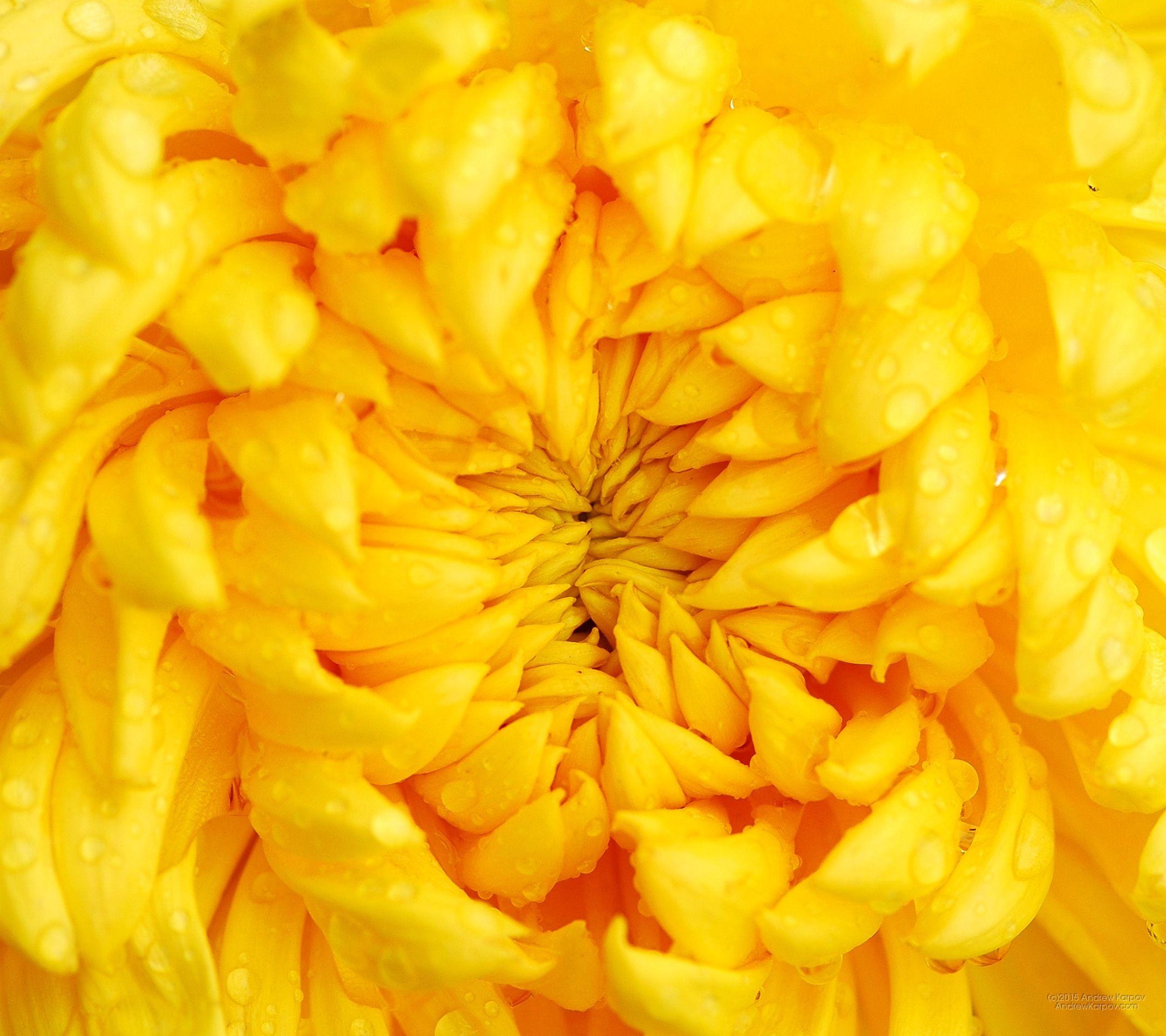 Gionee Wallpapers - Top Free Gionee Backgrounds - WallpaperAccess
