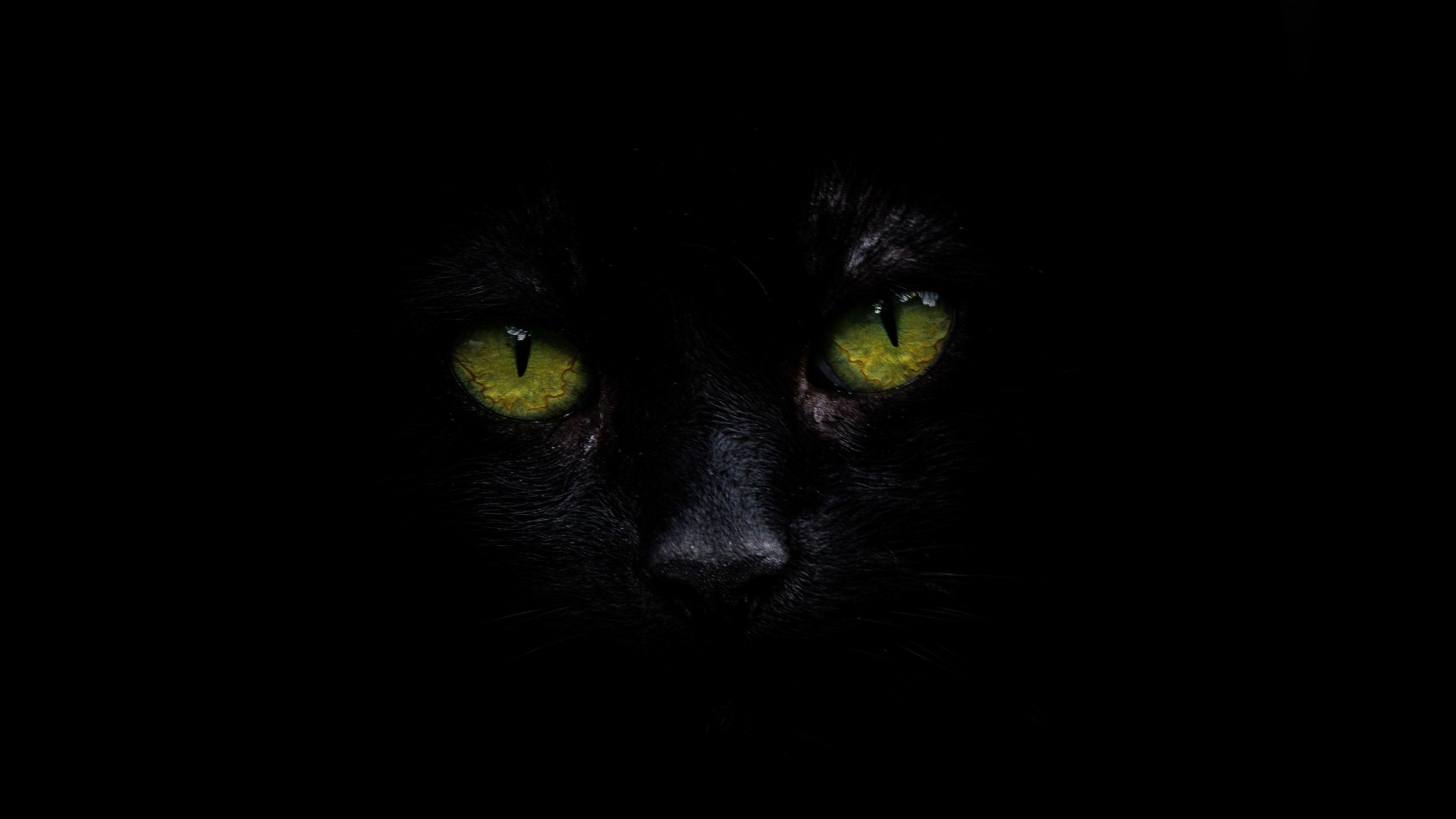 4K OLED Desktop Wallpapers - Top Free 4K OLED Desktop Backgrounds ...