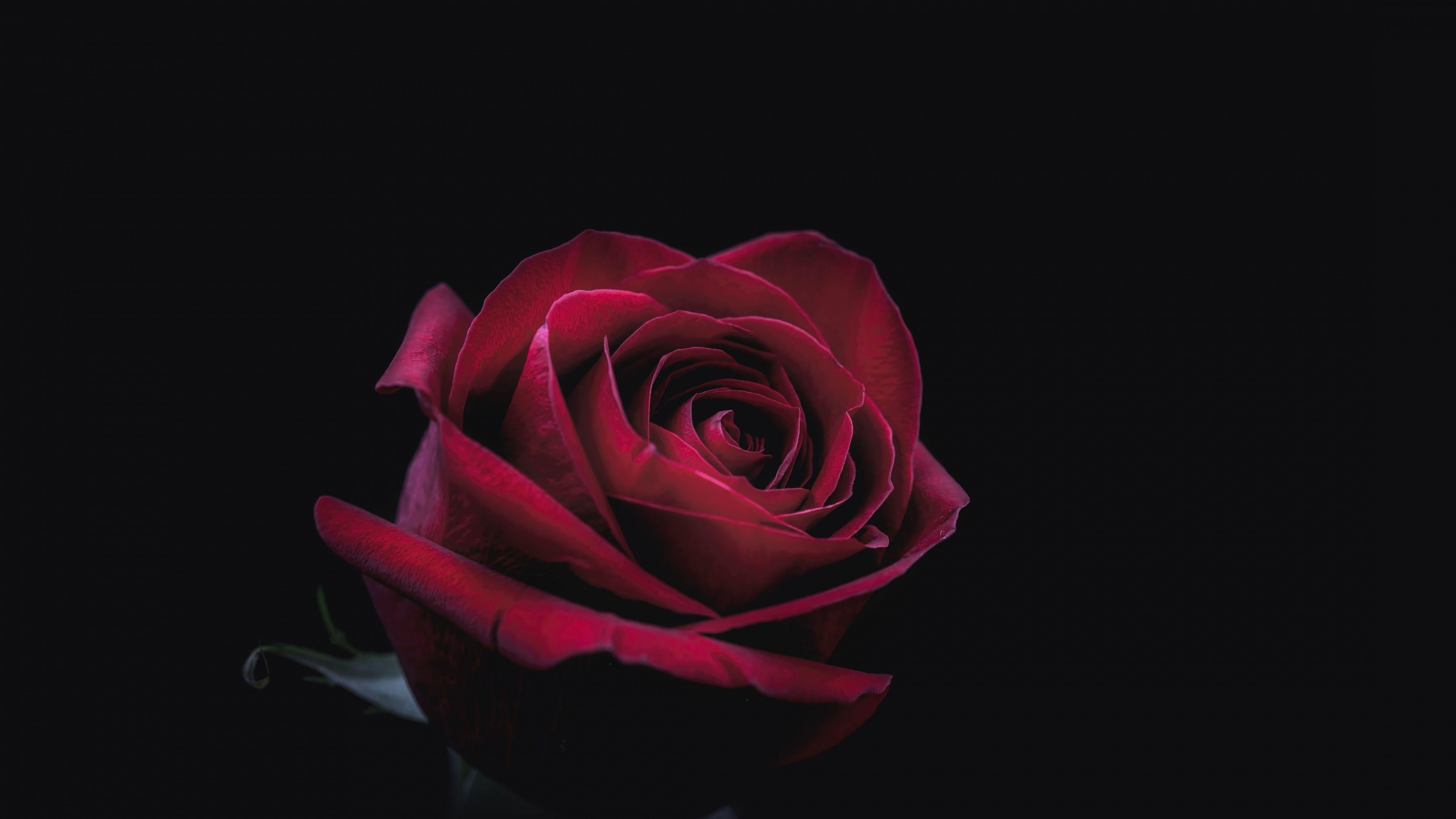 3840X2160 OLED Wallpapers - Top Free 3840X2160 OLED Backgrounds ...