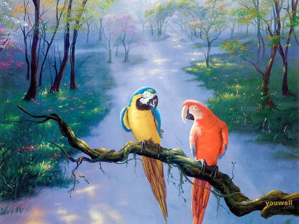Parrot Desktop Wallpapers - Top Free Parrot Desktop Backgrounds ...