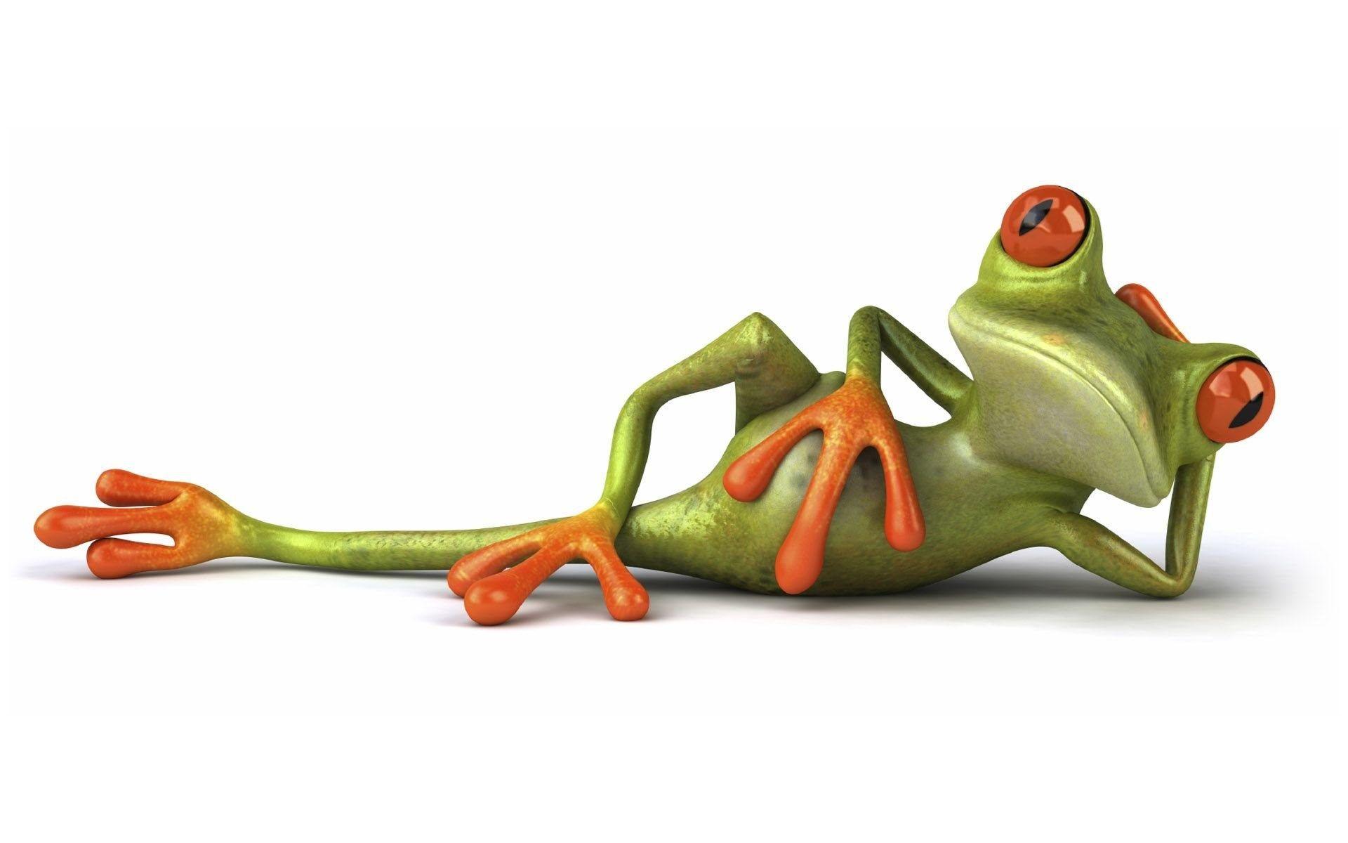 Frog Desktop Wallpapers - Top Free Frog Desktop Backgrounds ...