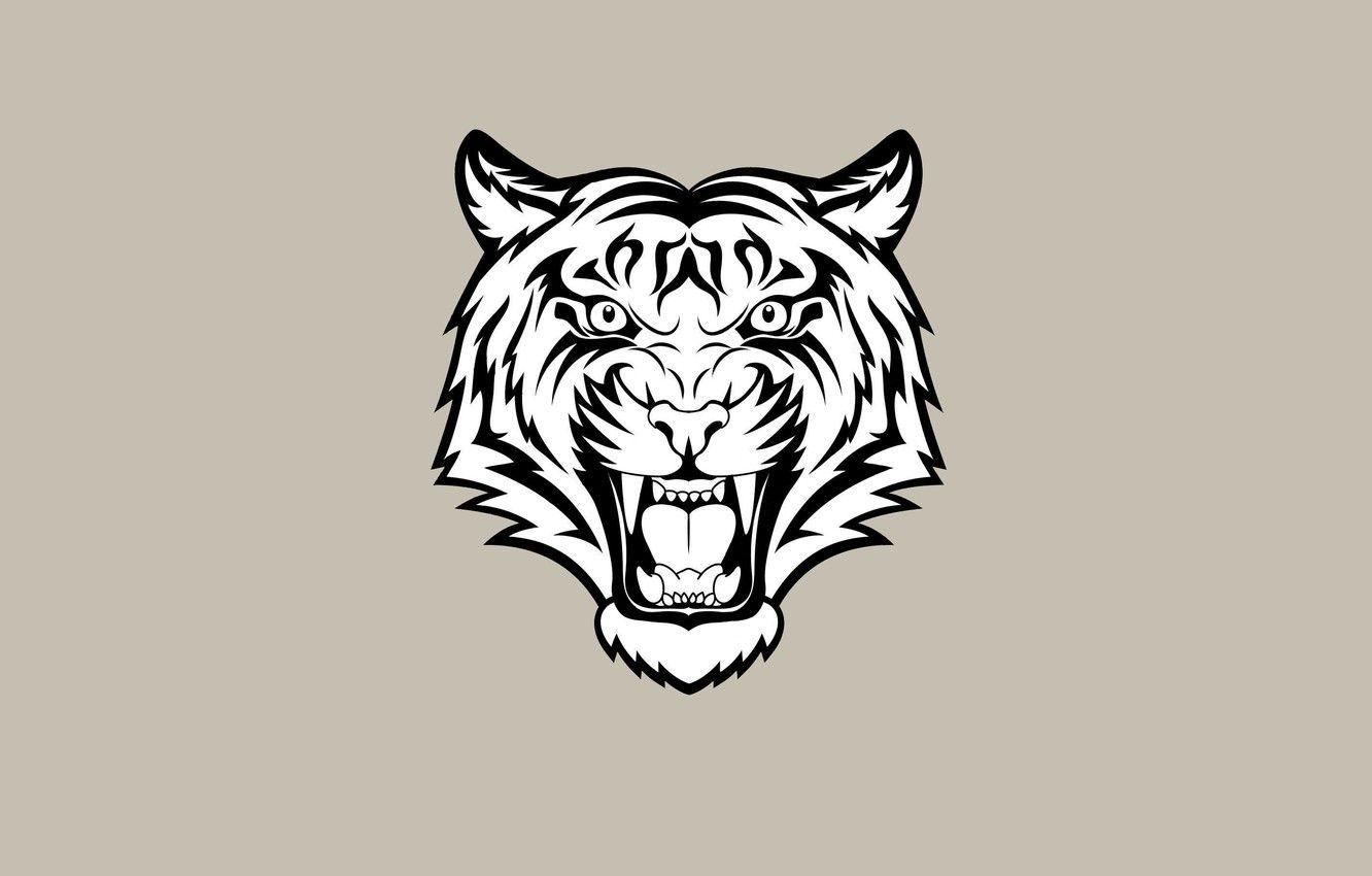 Tiger Minimalist Wallpapers - Top Free Tiger Minimalist Backgrounds ...
