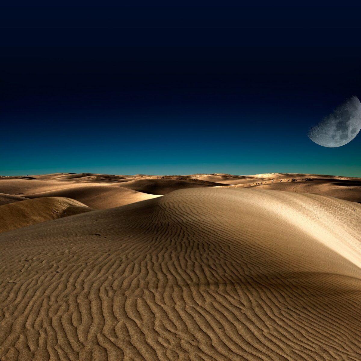 Asus Proart Wallpapers - Top Free Asus Proart Backgrounds - WallpaperAccess