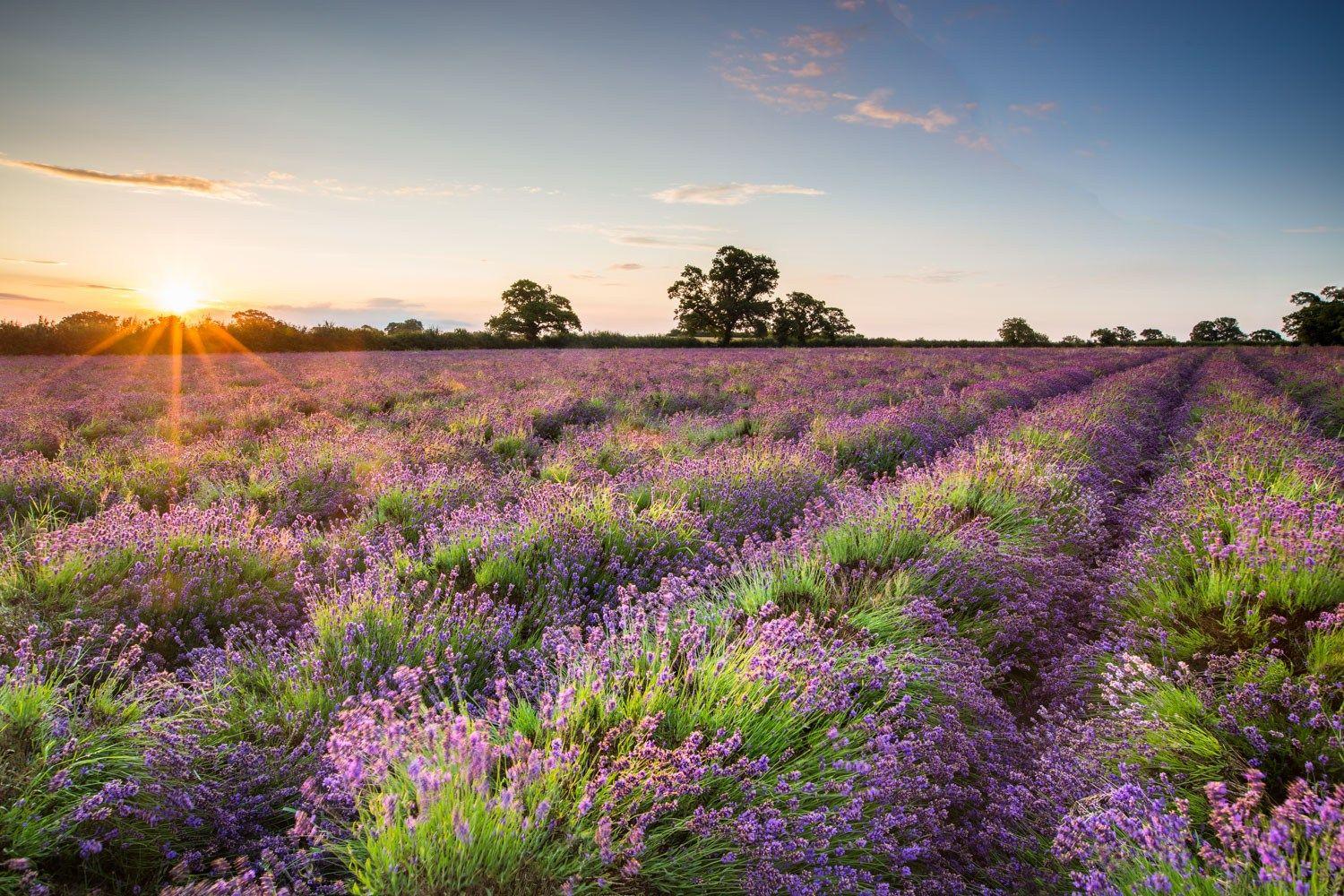 Nice Photography Wallpapers - Top Free Nice Photography Backgrounds ...